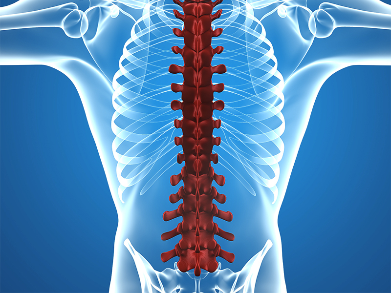 PATOLOGIA del RACHIDE LOMBARE